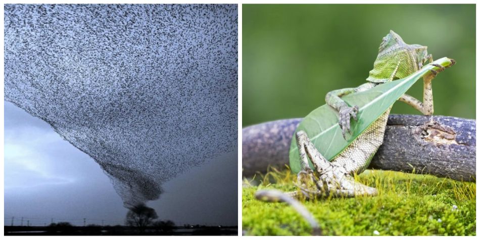 Imagini realizate fara Photoshop! Cand oamenii si natura realizeaza ...