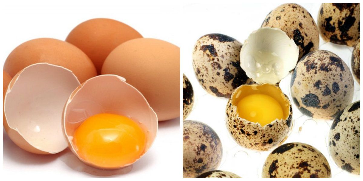 Oul, un aliment controversat! Ce contine un ou de gaina sau de ...