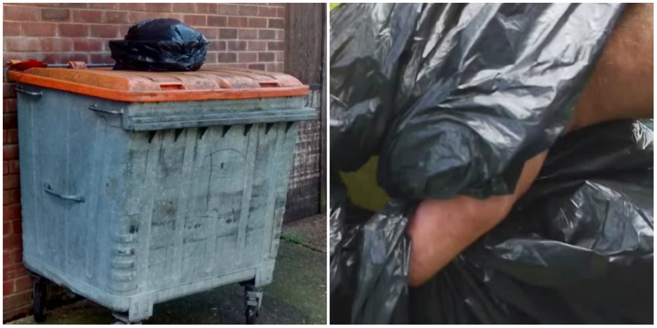 A gasit o punga deasupra unui tomberon, dar s-a temut sa se apropie ...