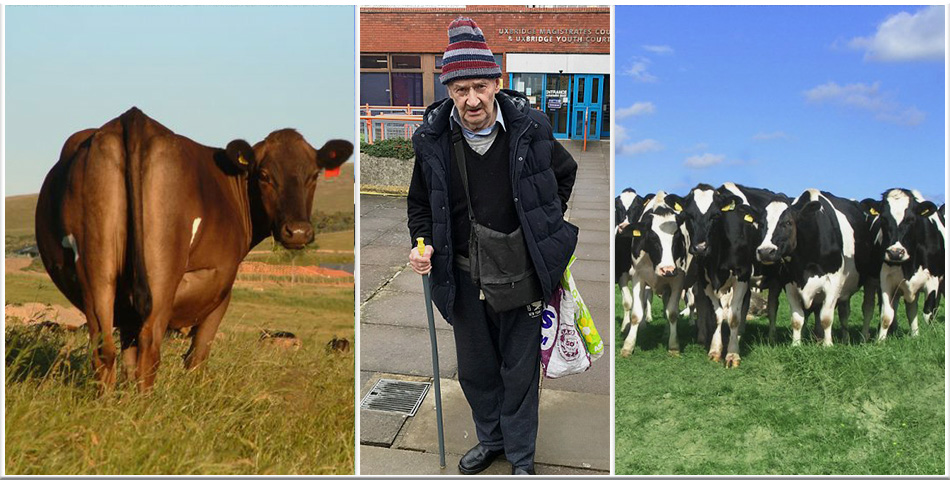 Pensionarul zoofil de 80 de ani are INTERZIS langa animale! Ce a facut