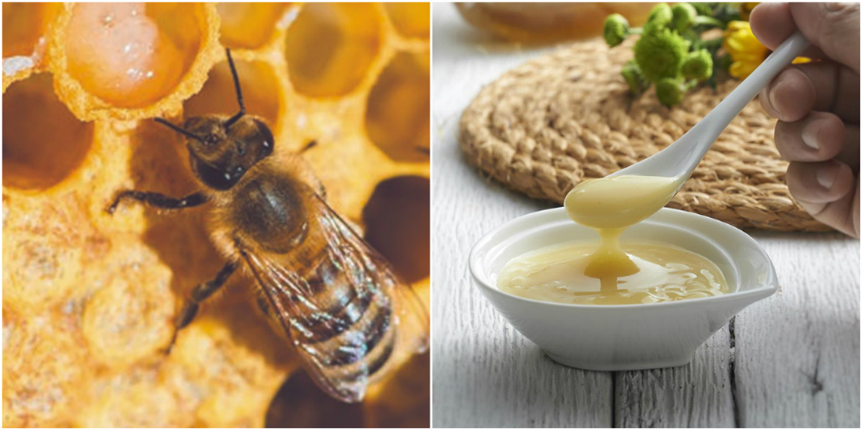 Laptisorul de matca face minuni asupra organismului! E cel mai complex ...