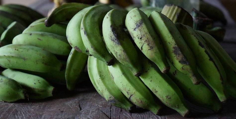 Bananele verzi, importante pentru organism. De ce nu trebuie sa le ocolesti