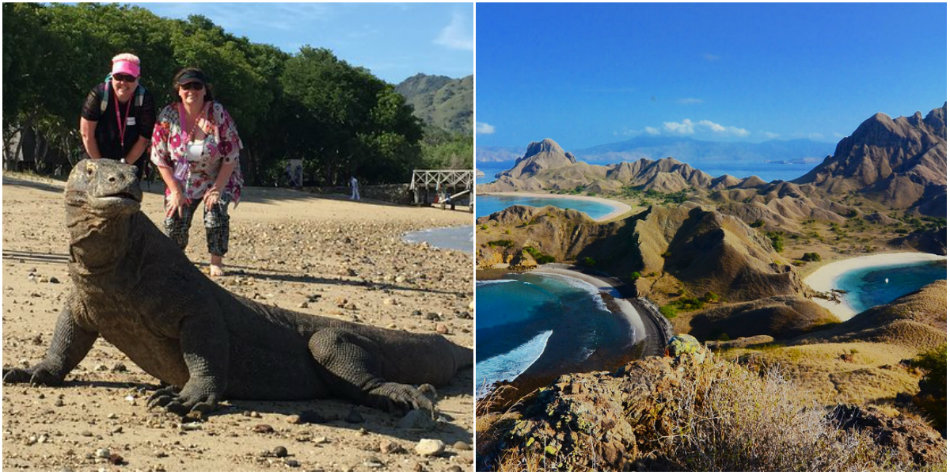 Acces interzis pe insula Komodo! Ce se va intampla cu dragonii de ...