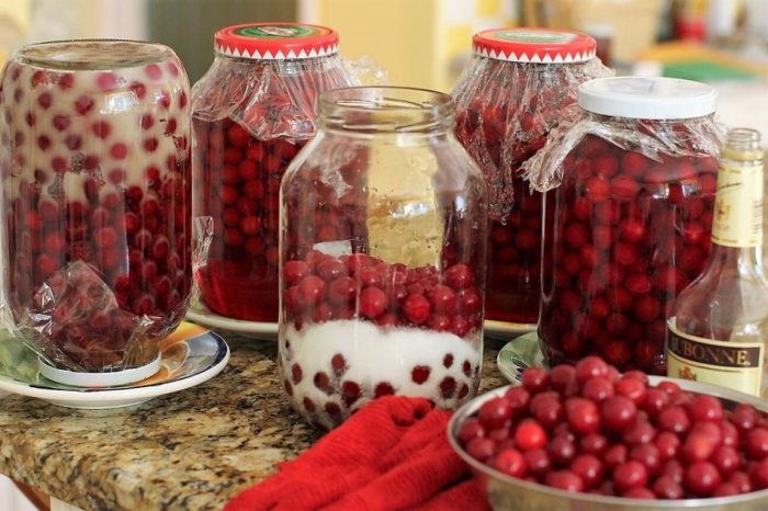 Visinata reteta simpla si rapida pe care o poti face in casa!