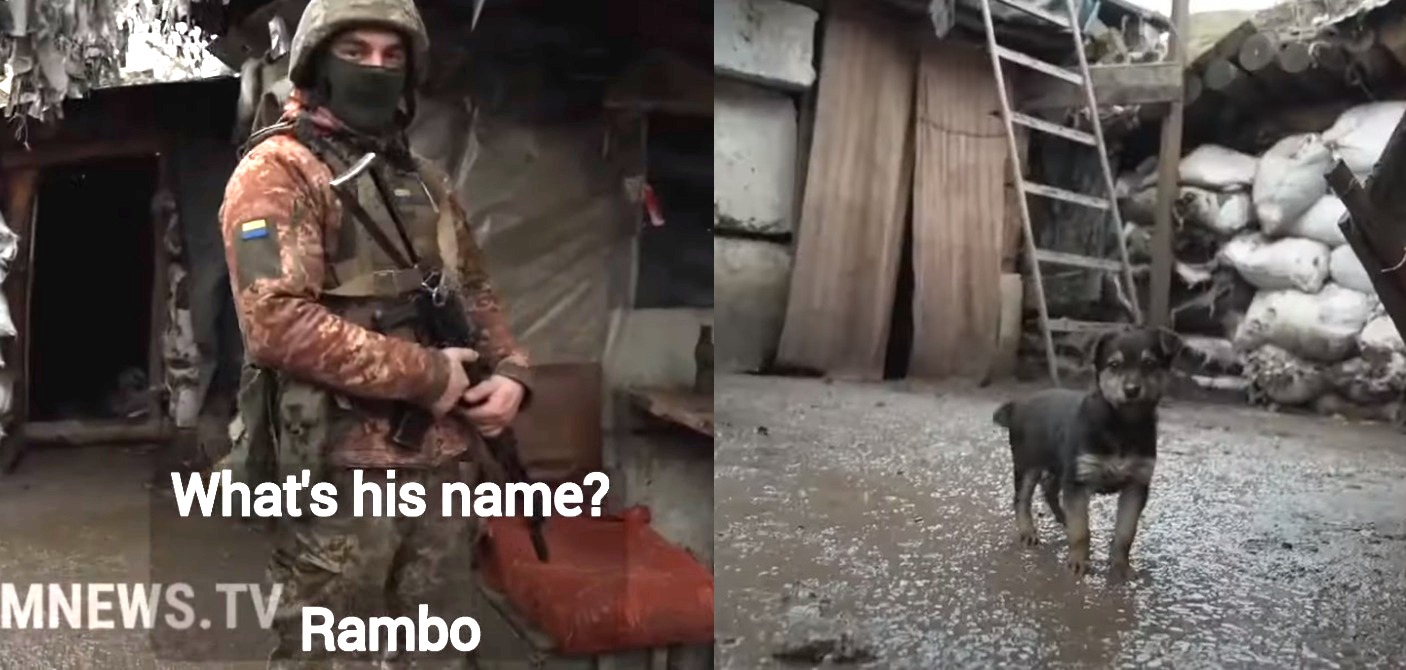 ”Rambo”, un cățeluș de câteva luni, îi ține în gardă pe soldații ucraineni