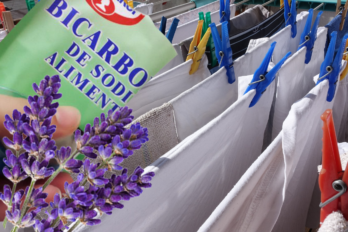 Balsam de rufe făcut în casă! Învață și tu secretul prosoapelor pufoase ...