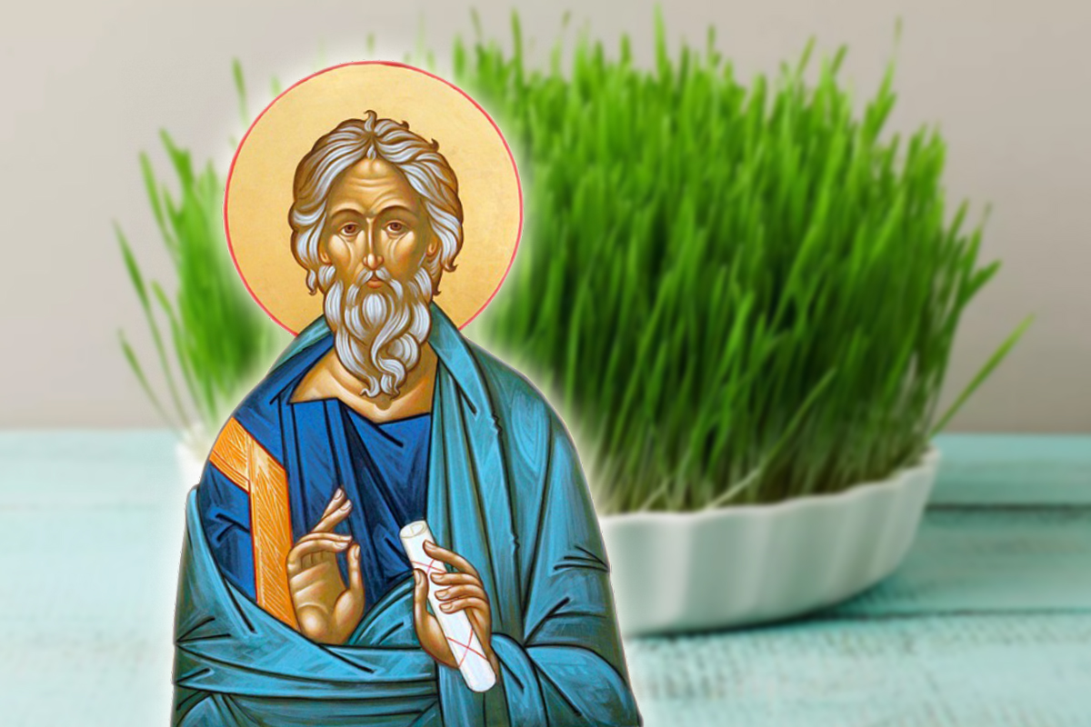 Cum se pune grâul la încolţit. Obiceiul pe care românii îl respectă cu ...