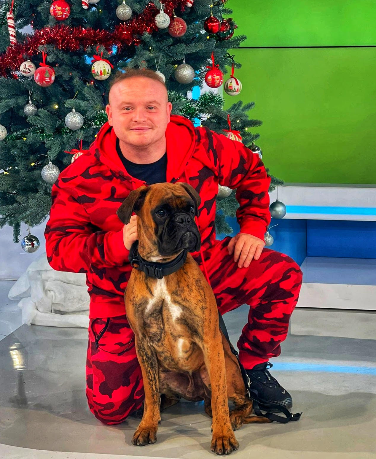 Pregătirea câinelui în 3 pași pentru noaptea de Revelion! Cele mai ...