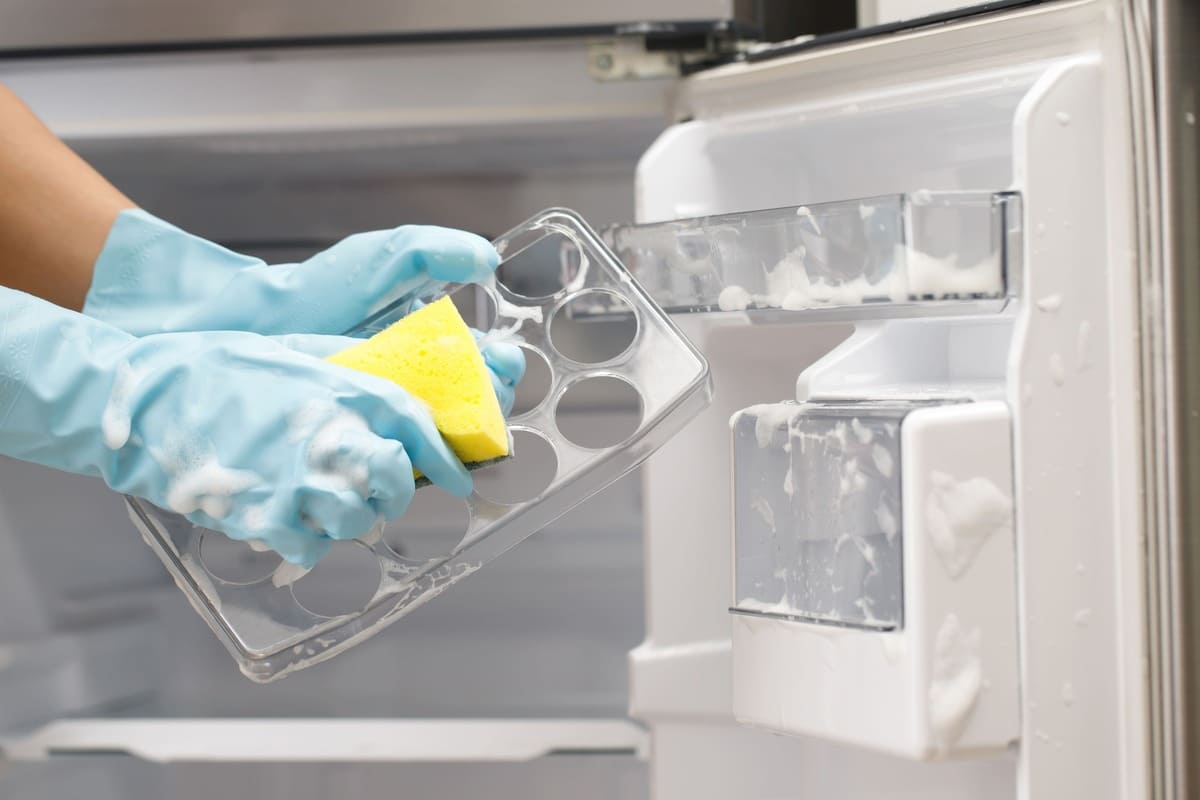 Cum se curăță corect frigiderul! Soluție eficientă pentru garnituri