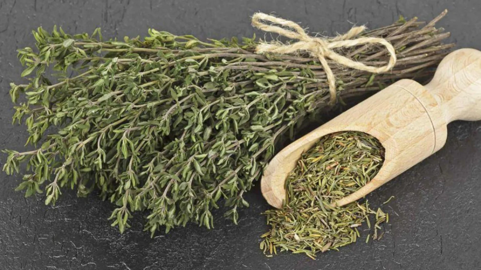 Cimbrul, unul dintre cele mai puternice antibiotice naturale din lume ...