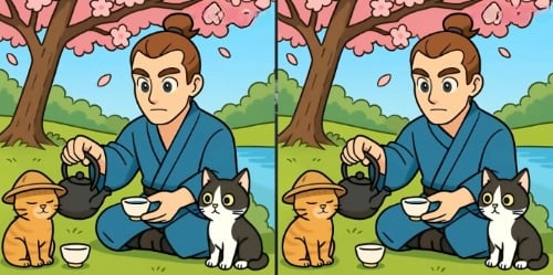 Test IQ: găsiți 3 diferențe într-o imagine cu un bărbat și pisici în 51 ...